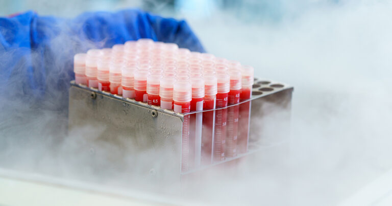 WiFi Freezer Temperature Monitor - Swift Sensors